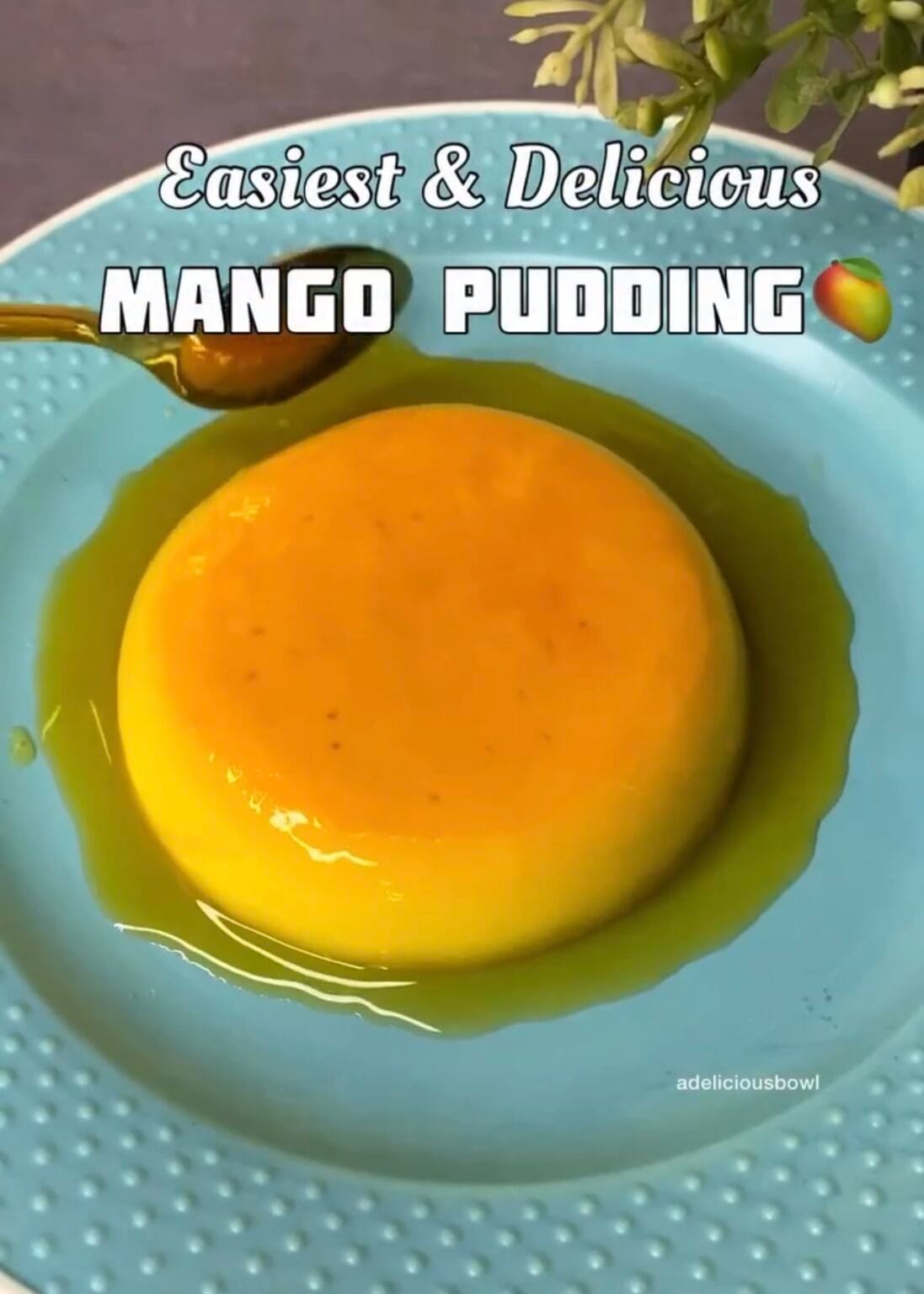 Mango Pudding | Mango Desserts | Mango Pudding Recipe - A Delicious Bowl