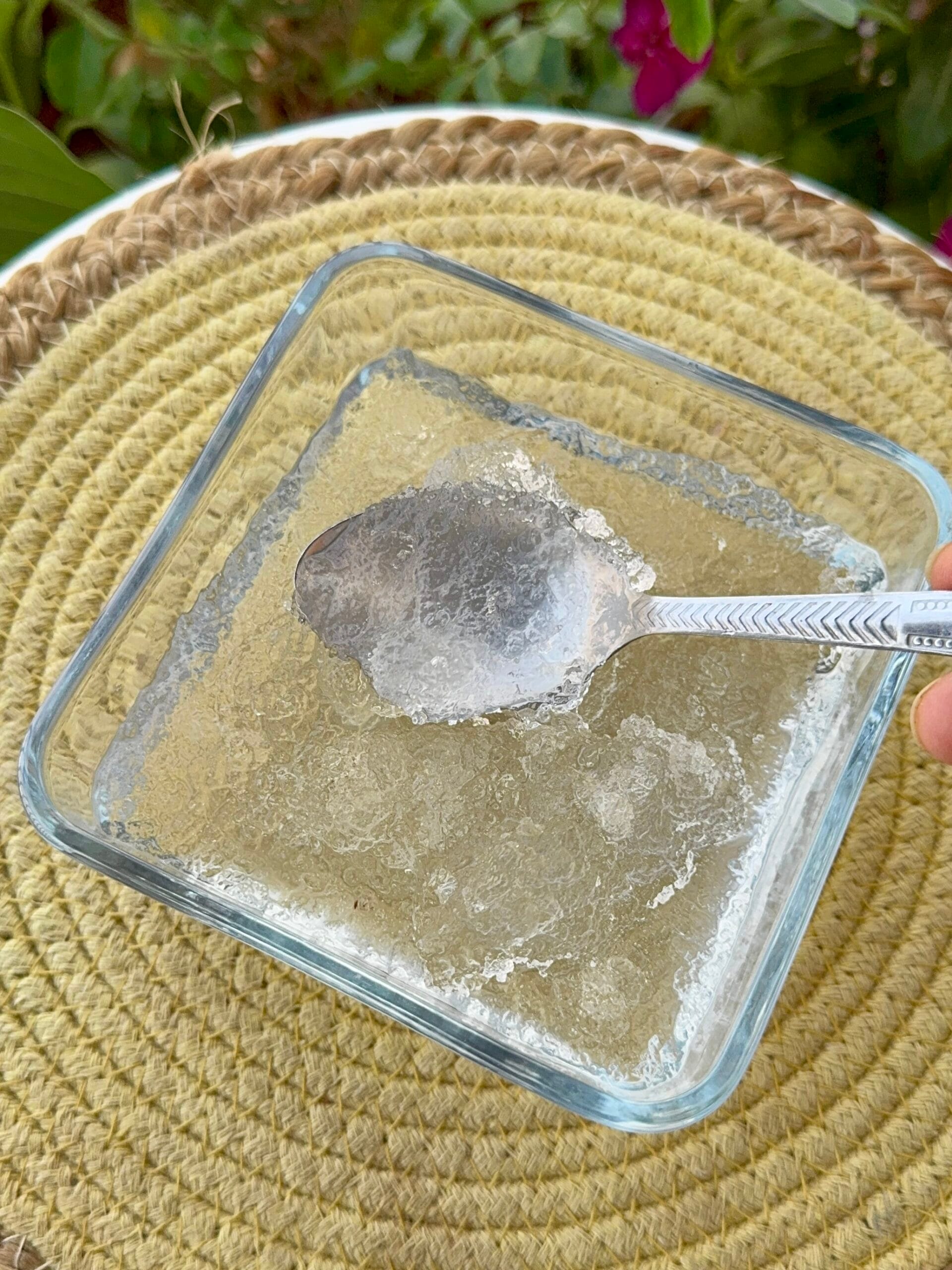 Gond Katira / Almond Gum or Badam Pisin: All You Need to Know: Benefits ...