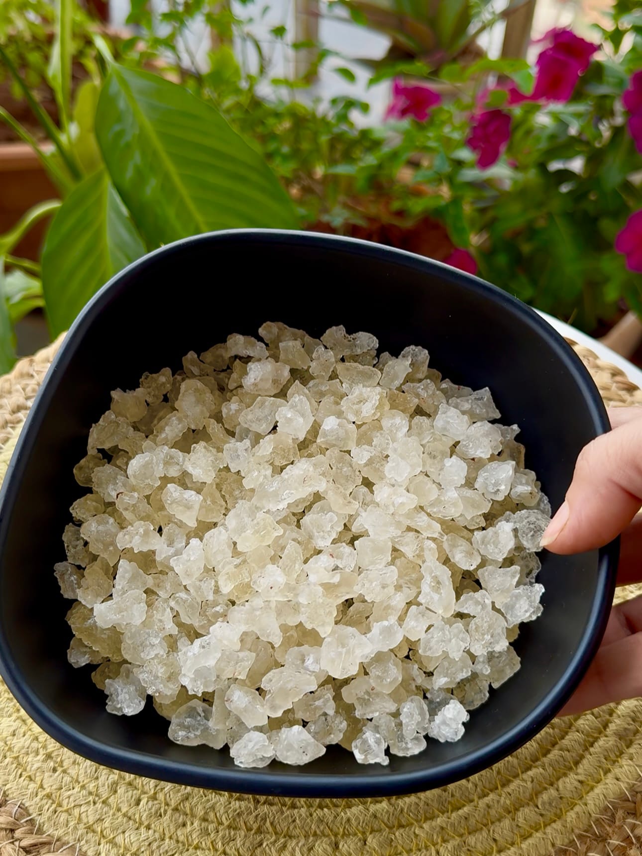 Gond Katira / Almond Gum or Badam Pisin: All You Need to Know: Benefits ...