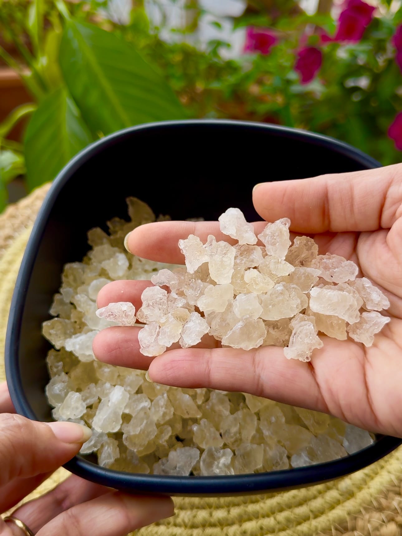 Gond Katira / Almond Gum or Badam Pisin: All You Need to Know: Benefits ...